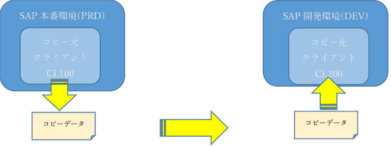 「SAP Basis概要の教科書」No.4 各種コピーツールの紹介 | SAPフリーランスジョブズ